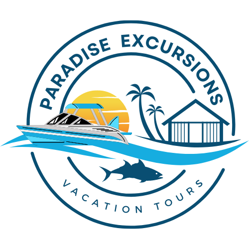 Our Portfolio - First Glance Bahamas